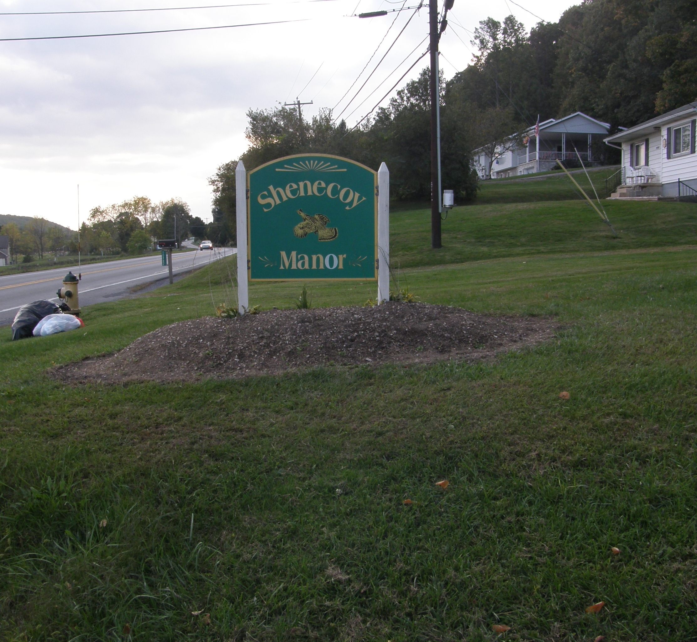 Before and After | Lloyd Signs